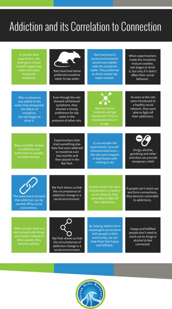 Addiction vs. Connection | Why Relationships Matter in Recovery