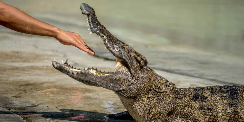 The Average Lifespan of a Krokodil User | Ocean Hills Recovery